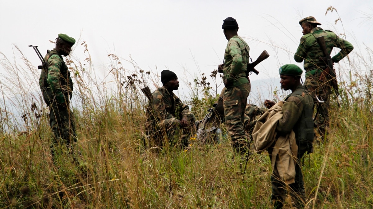 Congo Declares Start of Campaign Against Rwandan Hutu Rebels