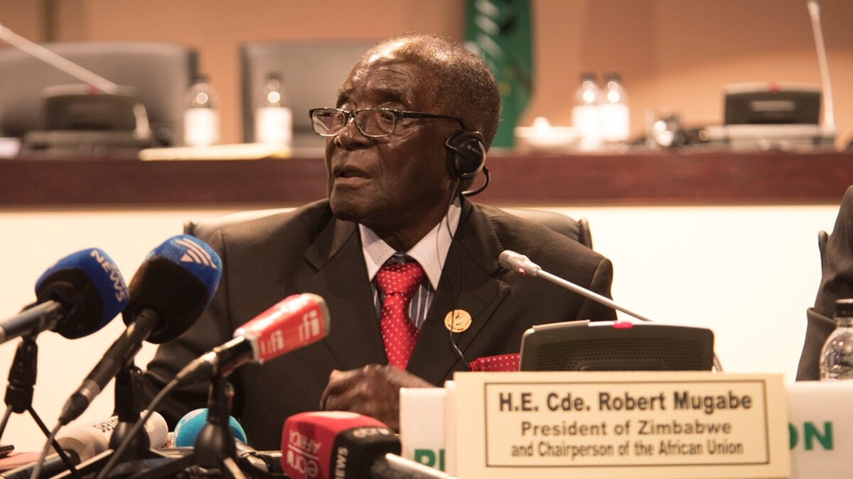 Zimbabwe’s President Makes His Mark on African Politics at AU Summit