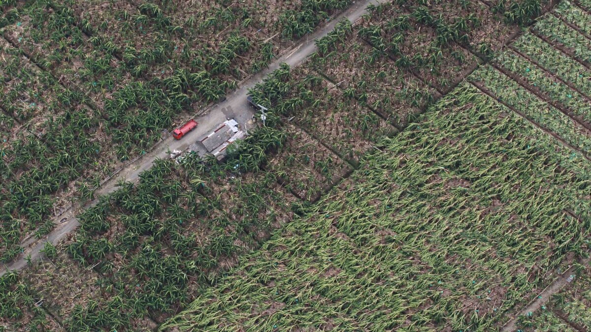 Philippines Races to Revive Typhoon-Battered Farms