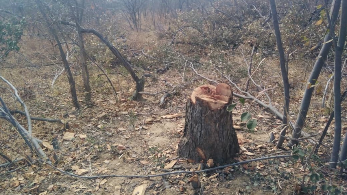 Kunanzwa Usuku Lokwenqabela Ukuganyulwa Kwezihlala Lokulwisana Lesomiso