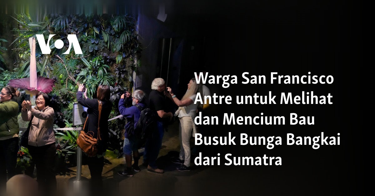 Warga San Francisco Antre untuk Melihat dan Mencium Bau Busuk Bunga ...