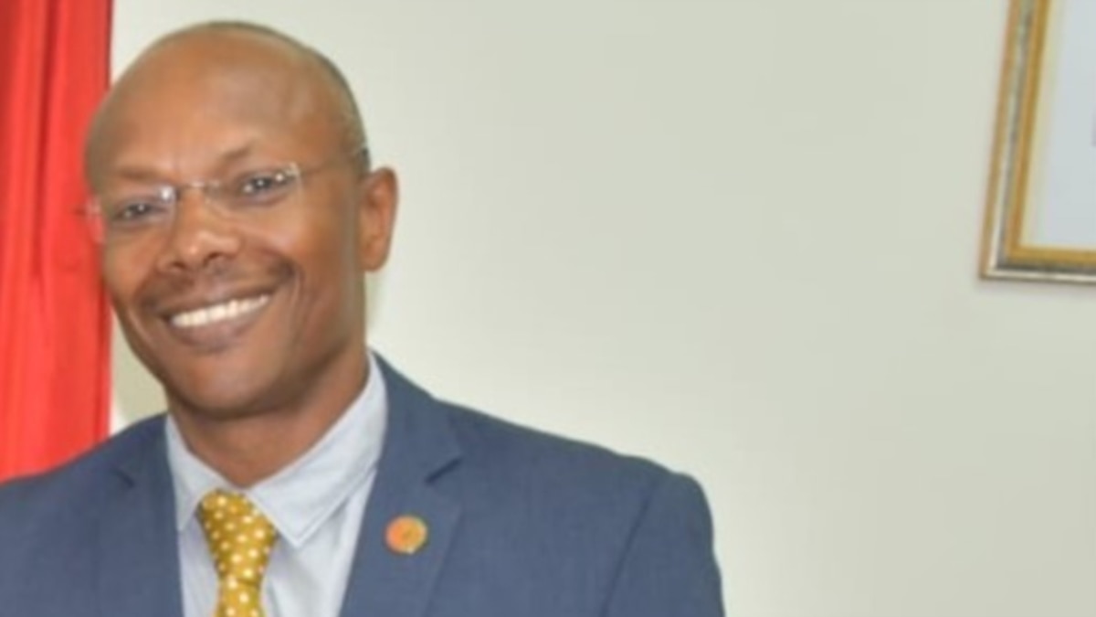 Joseph Martial Ribeiro: "Crise é oportunidade para economias africanas ...