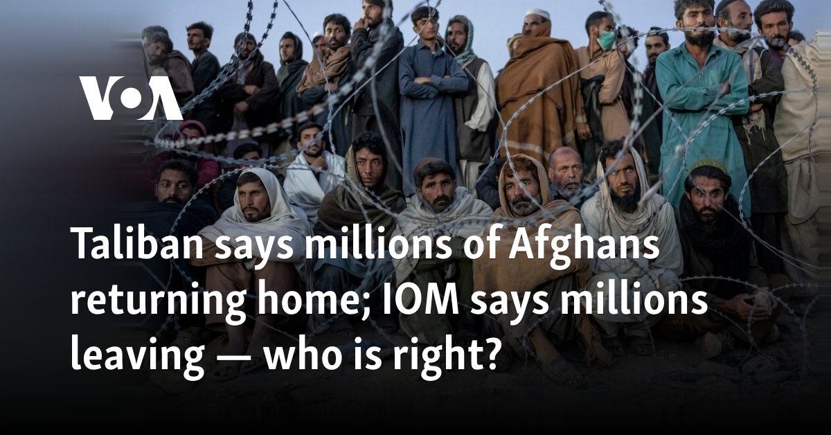 Taliban says millions of Afghans returning home; IOM says millions ...