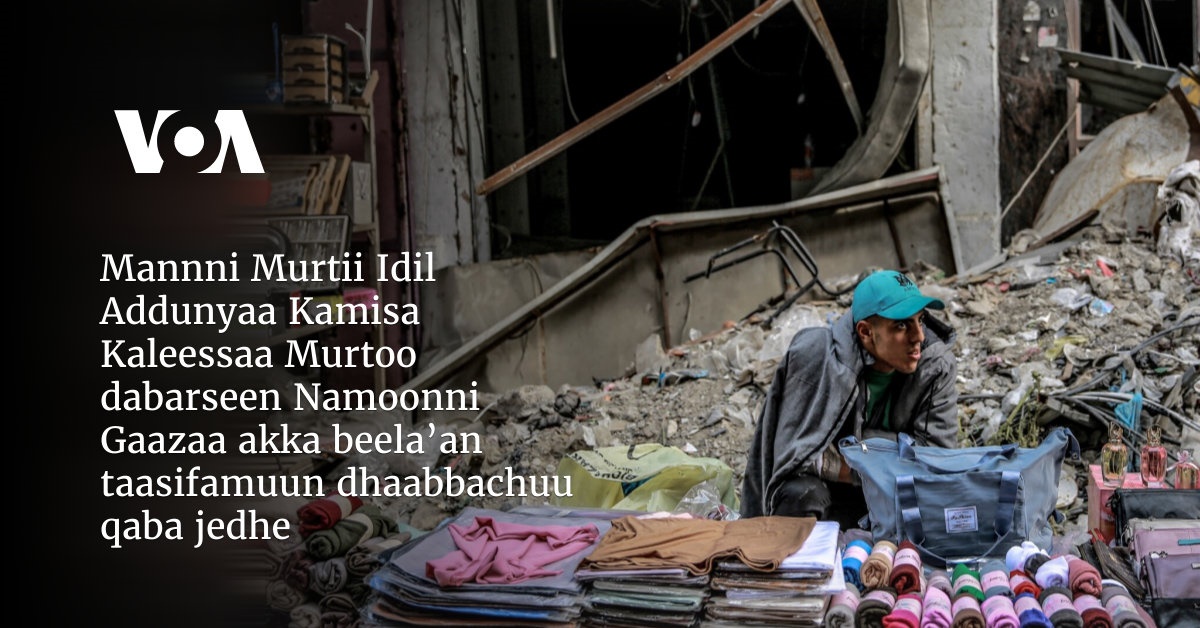 Mannni Murtii Idil Addunyaa Kamisa Kaleessaa Murtoo dabarseen Namoonni ...