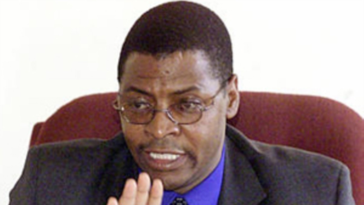 Zimbabwe Tip Toeing Toward The Precipice: Opposition Leader Ncube