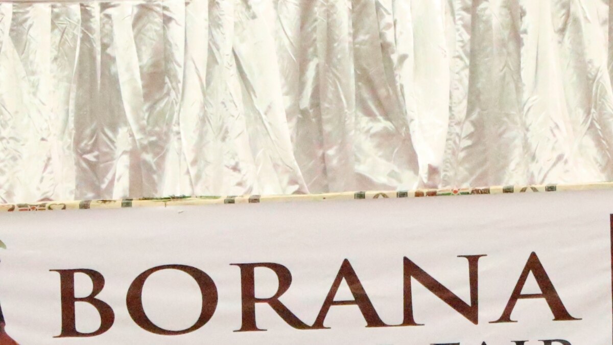 Boorana aanaa Dillootii nama kurnya hedduutti dhiba 'ttiittee' ka ...