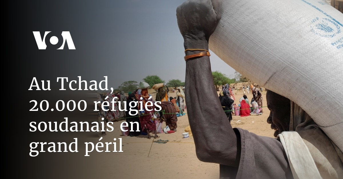 Dans le village tchadien de Koufroun, 20.000 réfugiés soudanais en ...