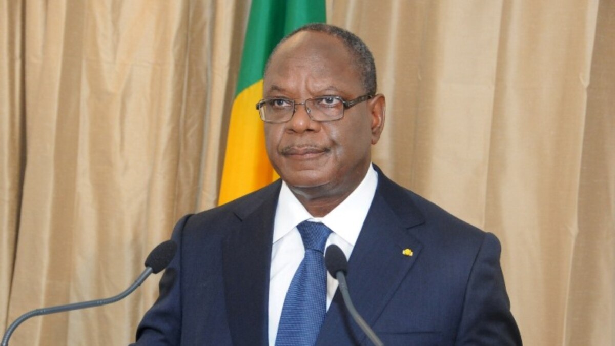 Mali Leader Dissolves Army Reform Panel