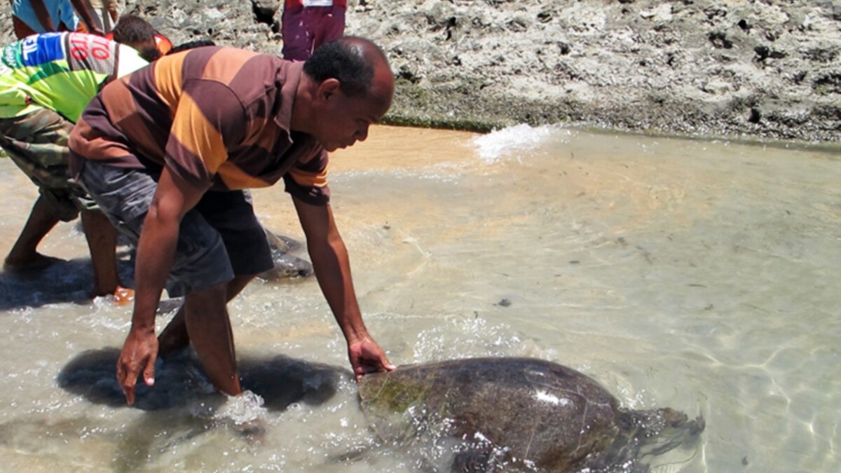 Conservation In Timor-Leste
