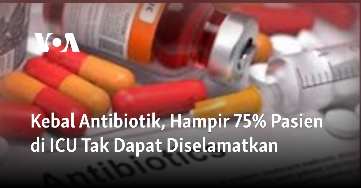Kebal Antibiotik, Hampir 75% Pasien di ICU Tak Dapat Diselamatkan