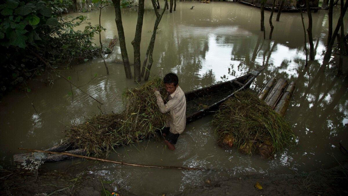 India's New Reforestation Law Ignores Indigenous People, Analysts Say