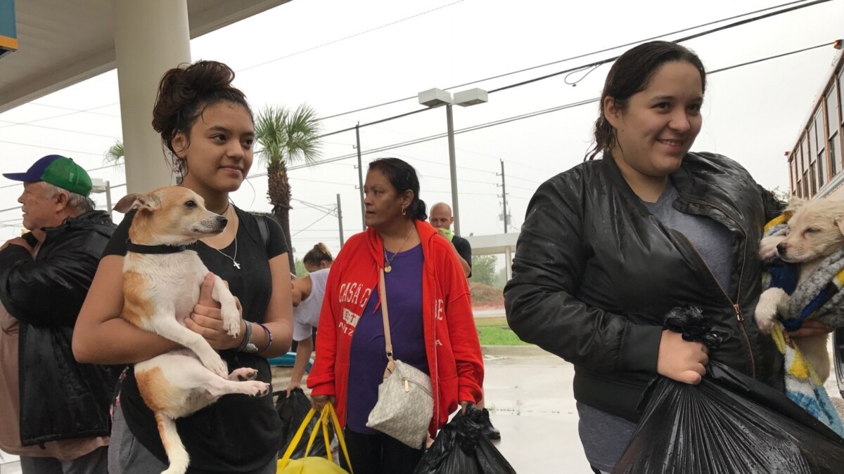 Houston Rescue Effort