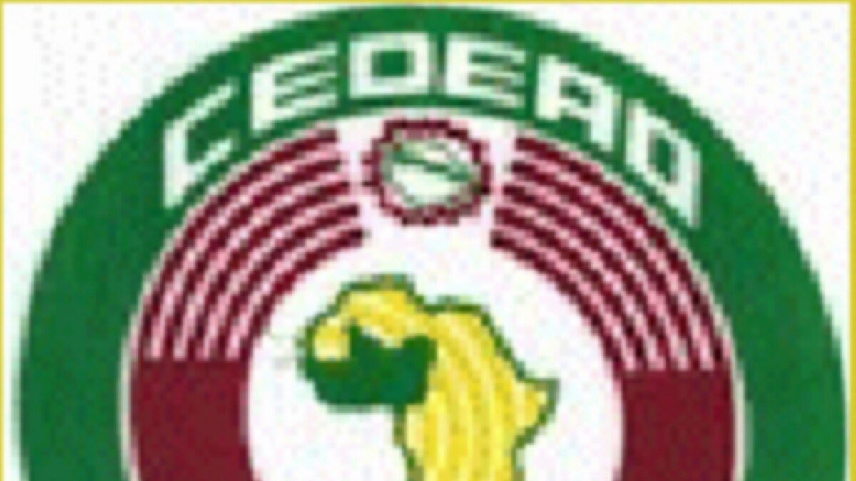 ECOWAS Will Help Guinea Organize Credible Elections, Says Official