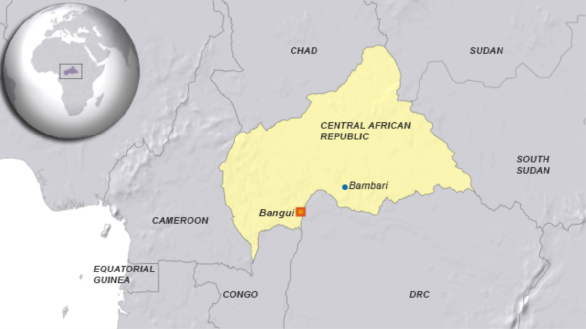 17 Killed in CAR Battle Between Seleka Factions