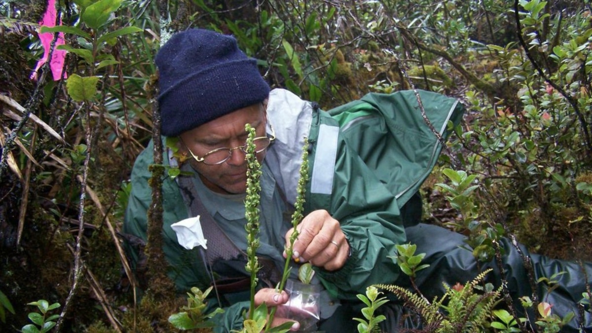 Botanist Works to Save Hawaii's Rare Plants