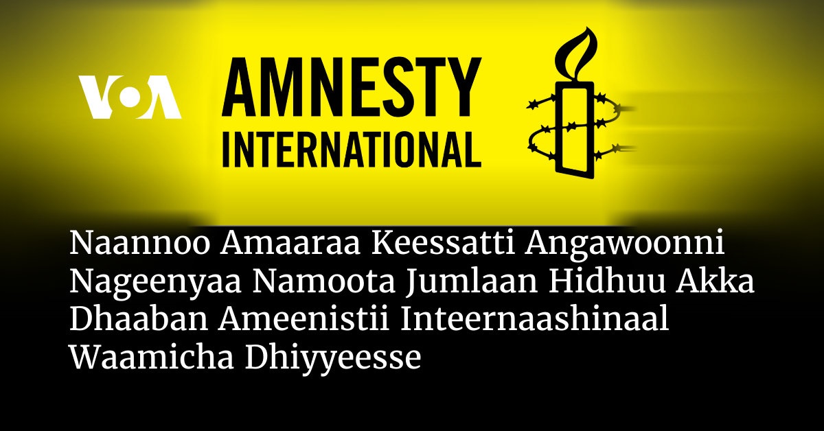 Naannoo Amaaraa Keessatti Angawoonni Nageenyaa Namoota Jumlaan Hidhuu ...