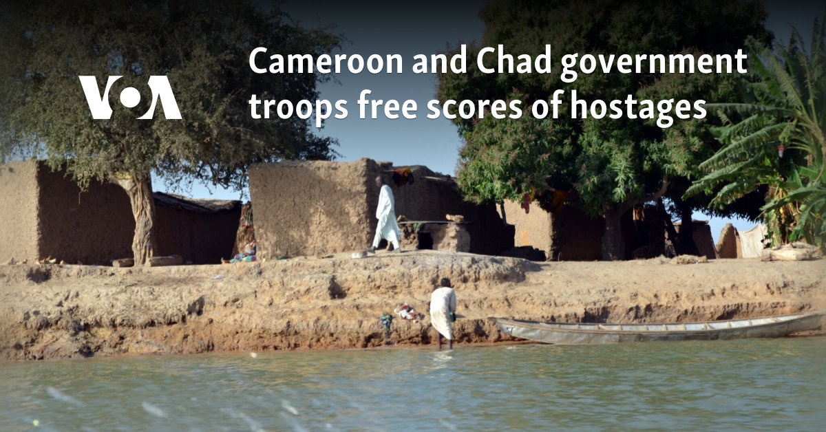 Cameroon and Chad government troops free scores of hostages