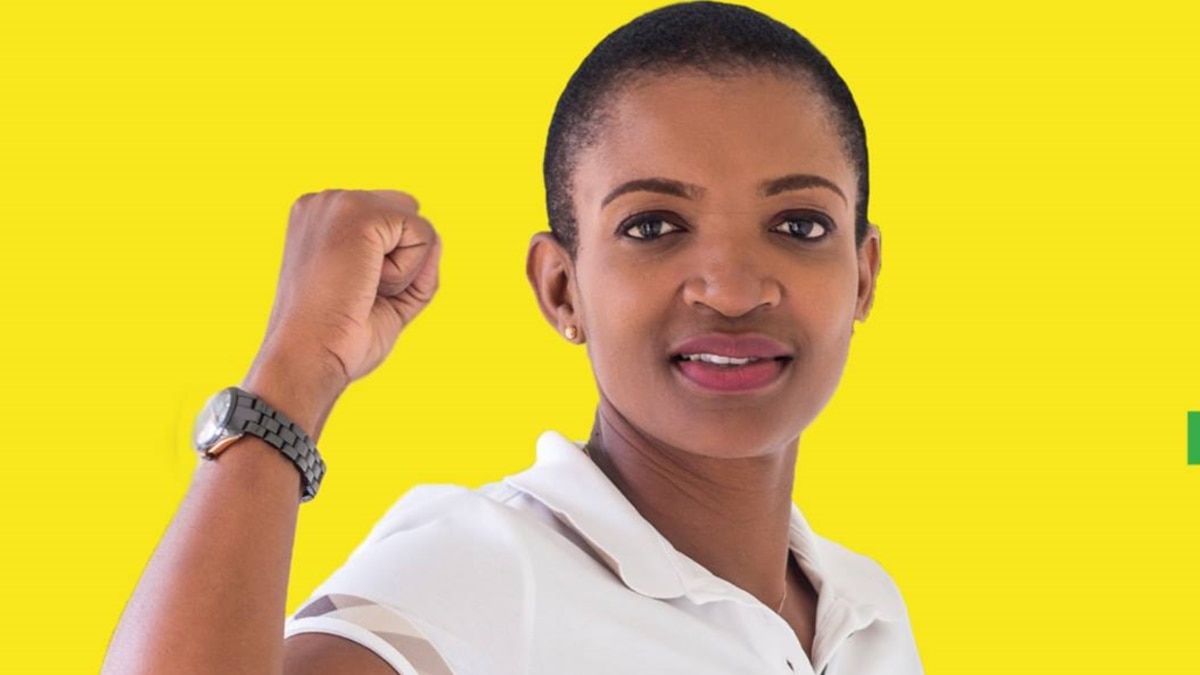 Zimbabwean Barbara Rwodzi, Colleagues Block Pan-African Parliament ...