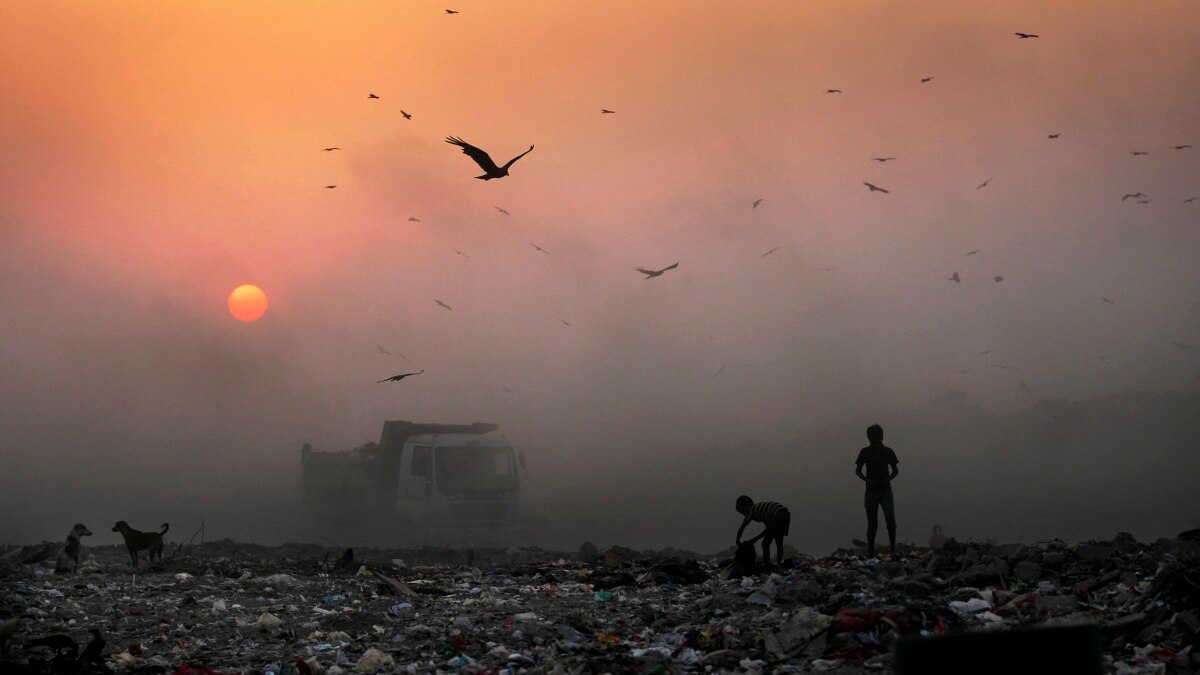 Combating Air Pollution in India