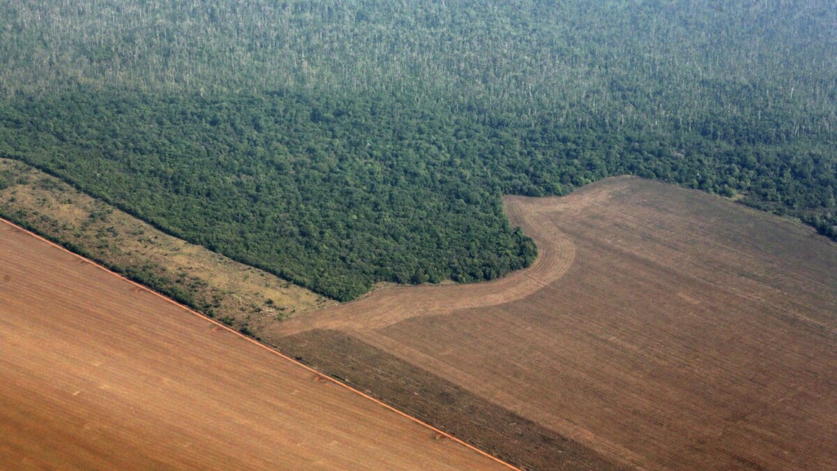 Brazilian Landless Peasants Invade Farm Owned by Minister's Family