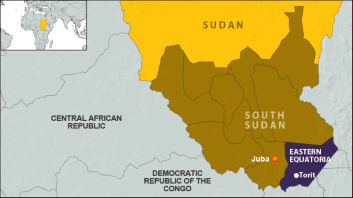 Illegal Logging Threatens South Sudan Forests