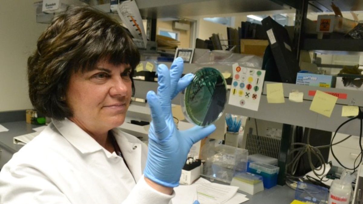 New Genetic Test Helps Find Food Poisoning