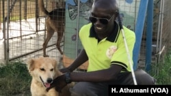 In Uganda, Dogs Comfort Victims of War