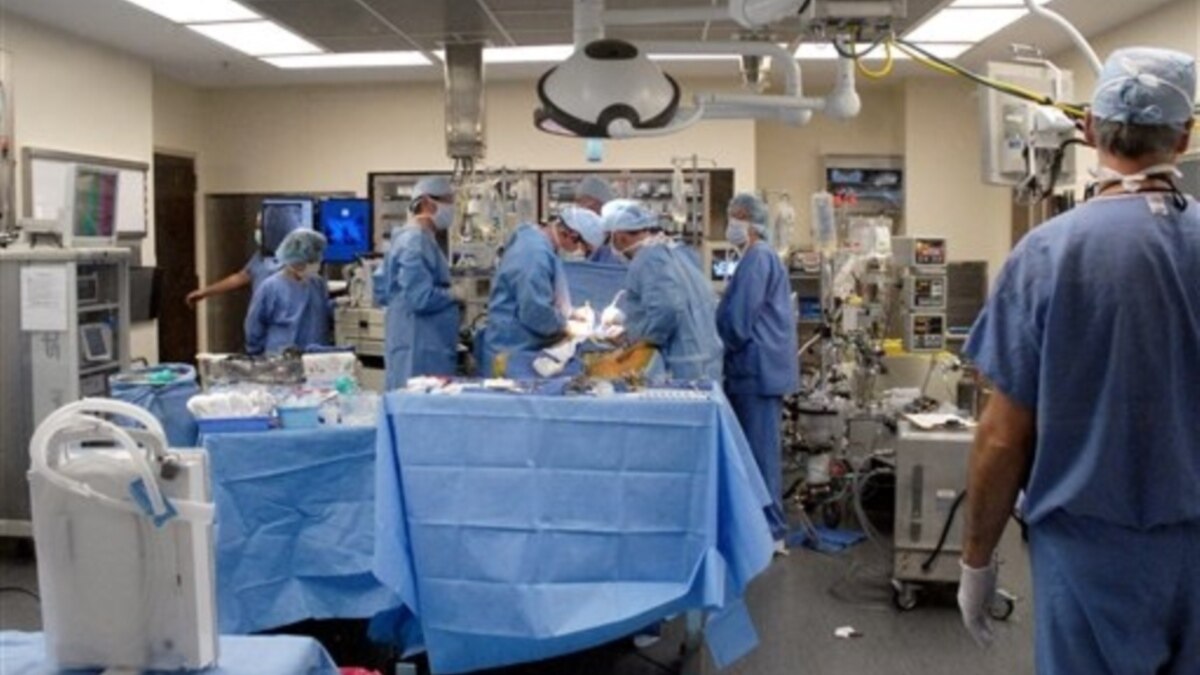 Needle-Nose Parasite Inspires New Surgical Bandage