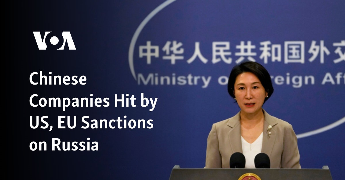 Chinese Companies Hit by US, EU Sanctions on Russia