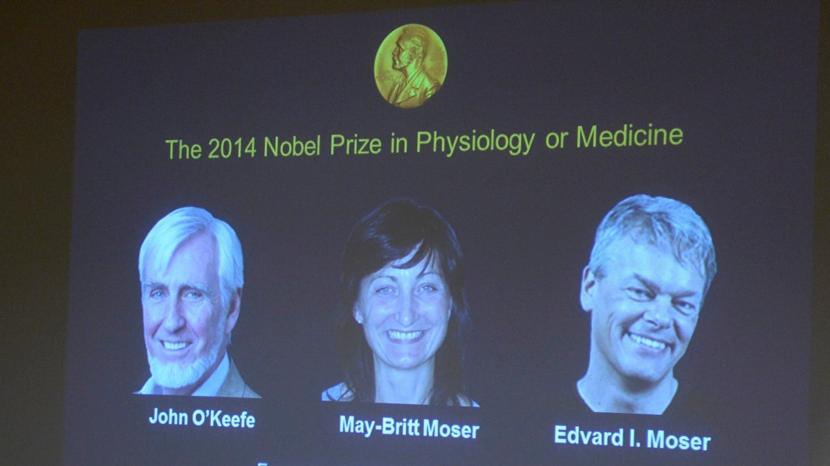 Three Scientists Win Nobel Prize for Brain Research