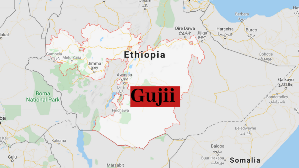 Gujii Bahaatti olloota Horsiisee bulaa hedduu shanee qallabdan jedhanii ...