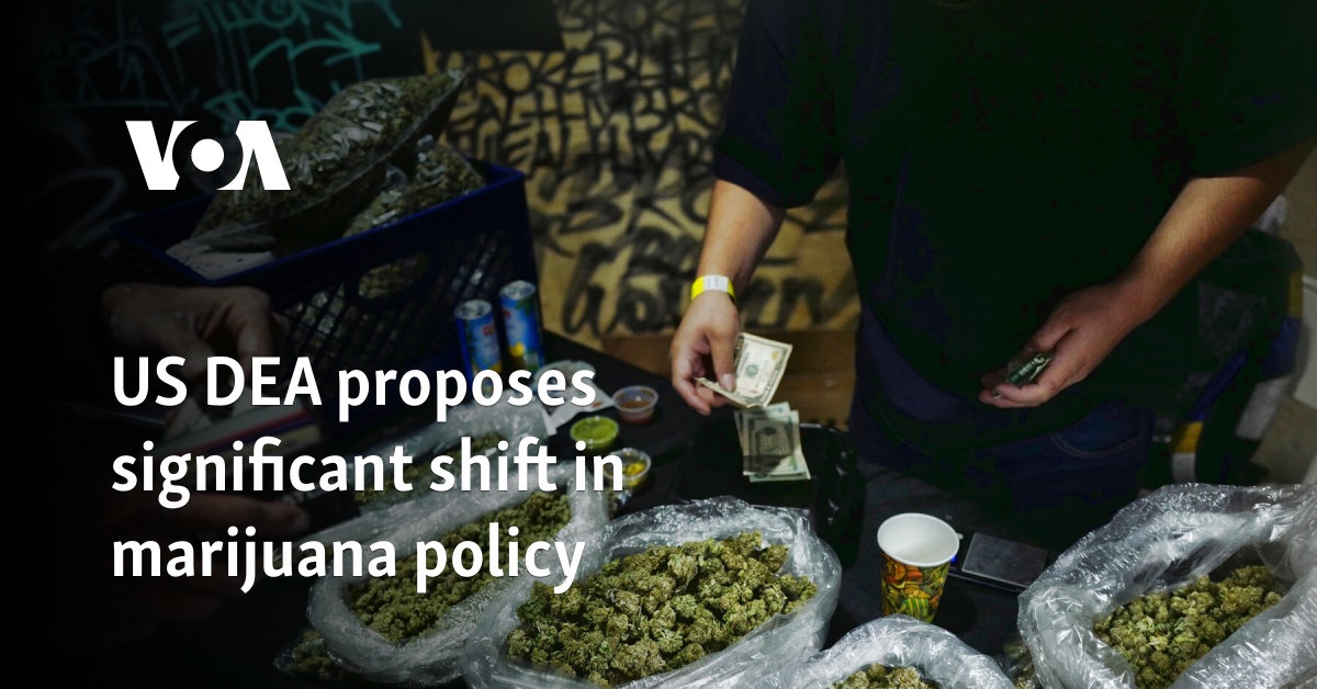 US DEA proposes significant shift in marijuana policy