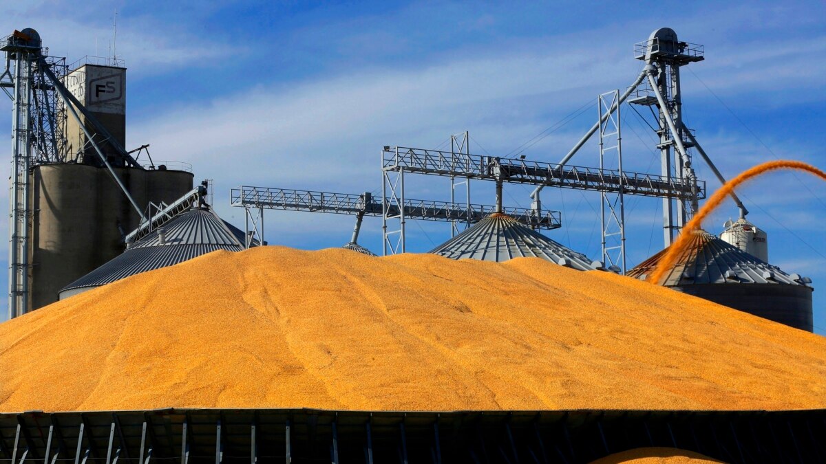 Teknologjia dixhitale në prodhimin bujqësor