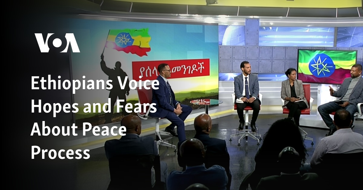 Ethiopians Voice Hopes and Fears About Peace Process