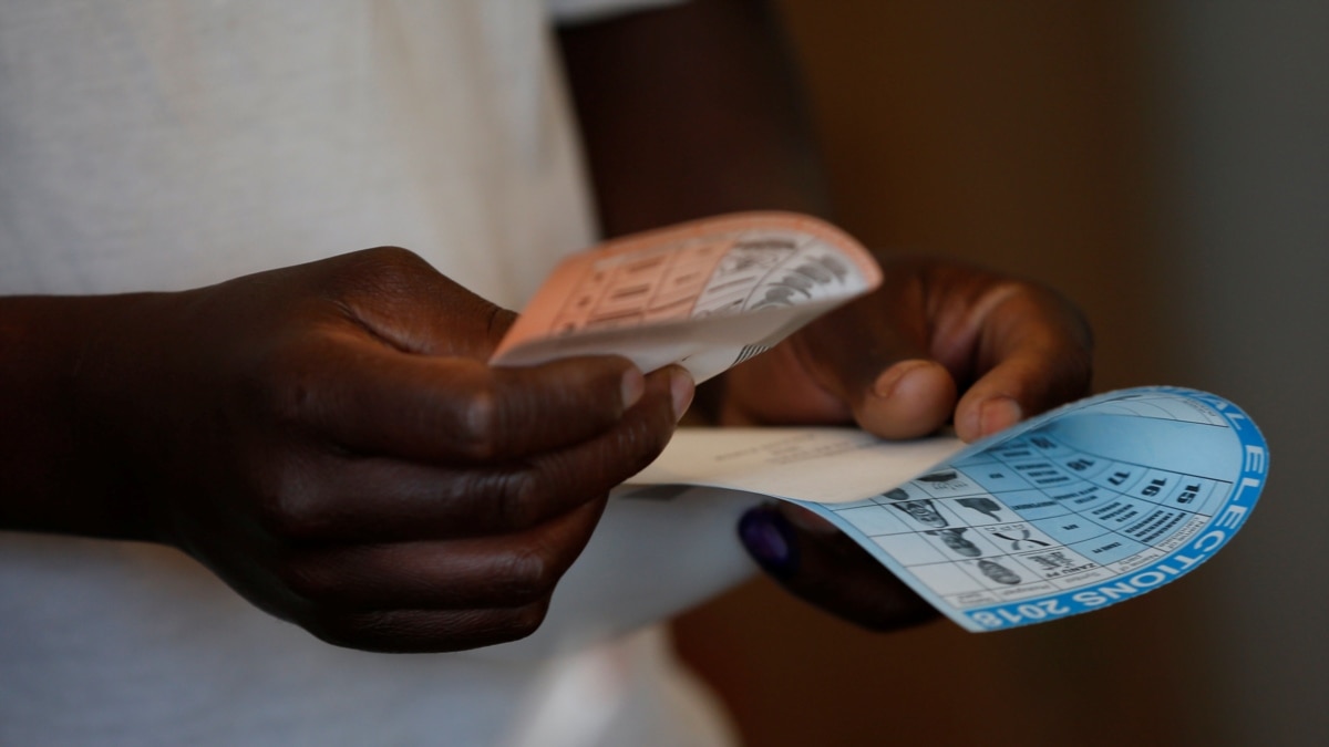 Zimbabwe Election Support Network Says New ZEC's US$20,000 Fee for ...