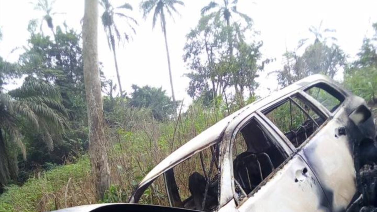 "Interpellation de Lucas Ayaba Cho: une victoire symbolique pour le ...