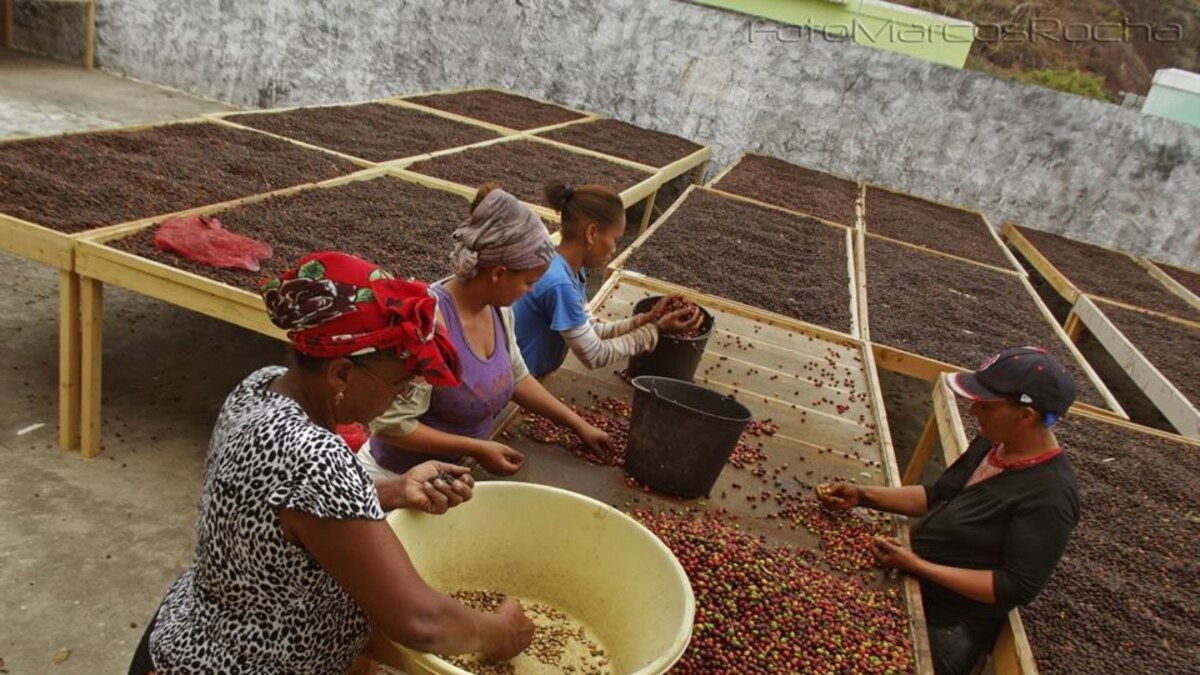 Mercado europeu abre-se a produtos cabo-verdianos