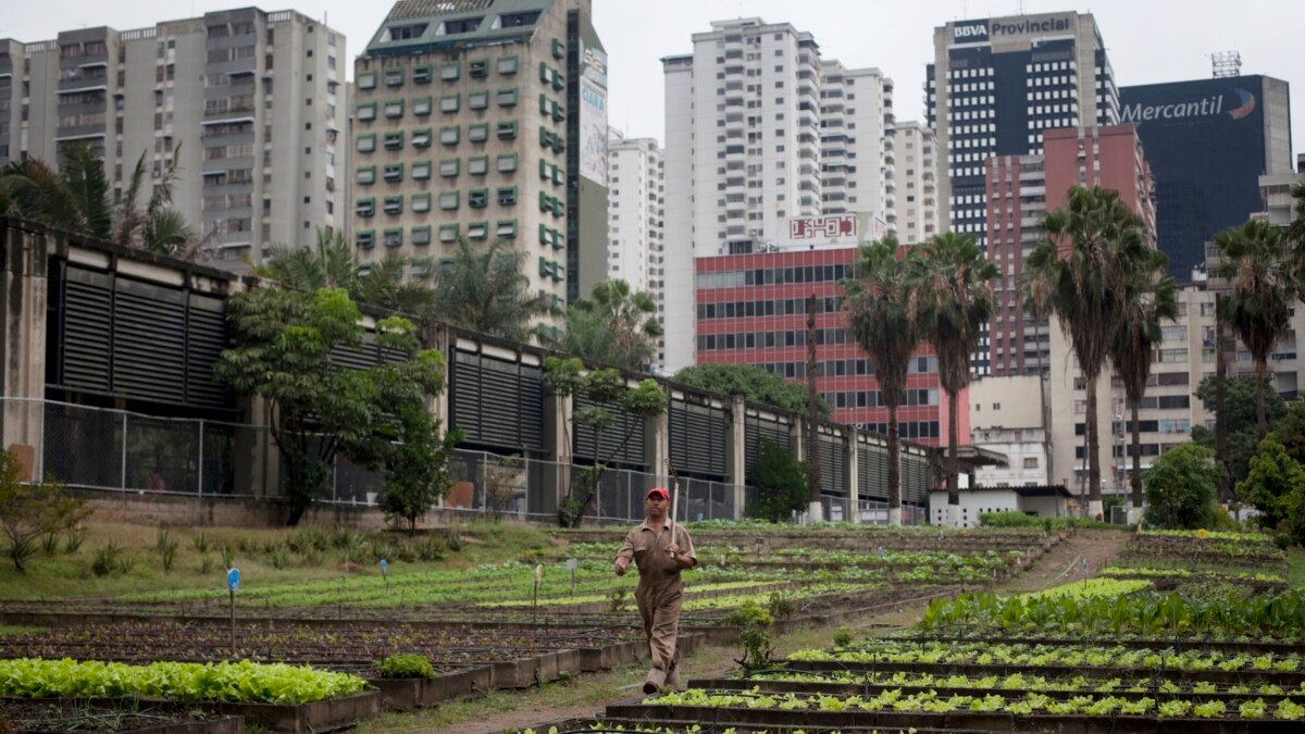 Venezolanos cultivarán la tierra en “conucos”