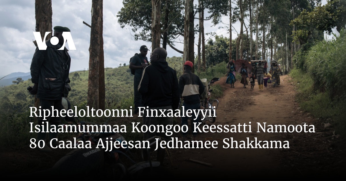 Ripheeloltoonni Finxaaleyyii Isilaamummaa Koongoo Keessatti Namoota 80 ...