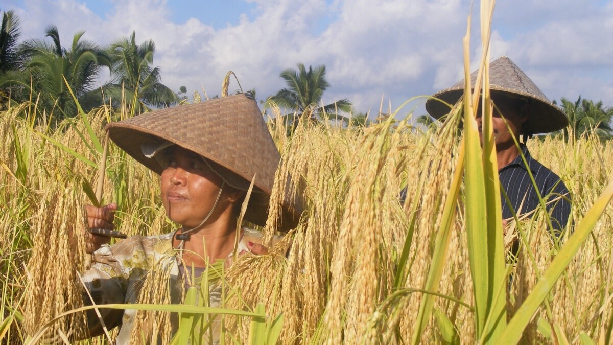 DPR: UU Pangan Baru Dorong Kedaulatan Pangan Nasional