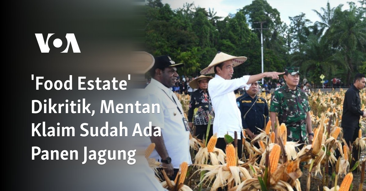 'Food Estate' Dikritik, Mentan Klaim Sudah Panen Jagung