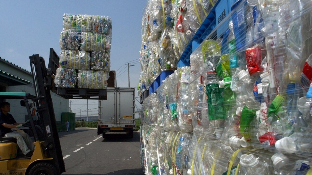 Paris, Tokyo, New York and Others Pledge to Slash Waste