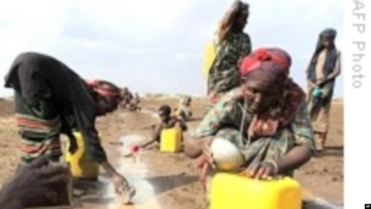 The Importance Of Fresh Water