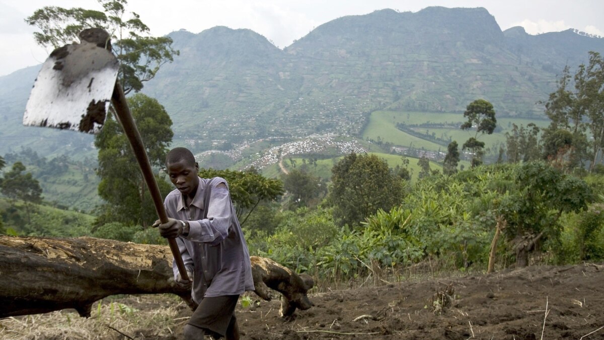 Insecure Land Tenures Hobble DRC Farmers