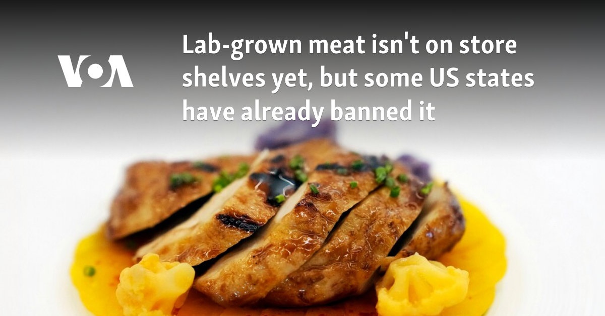 Lab-grown meat isn't on store shelves yet, but some US states have ...