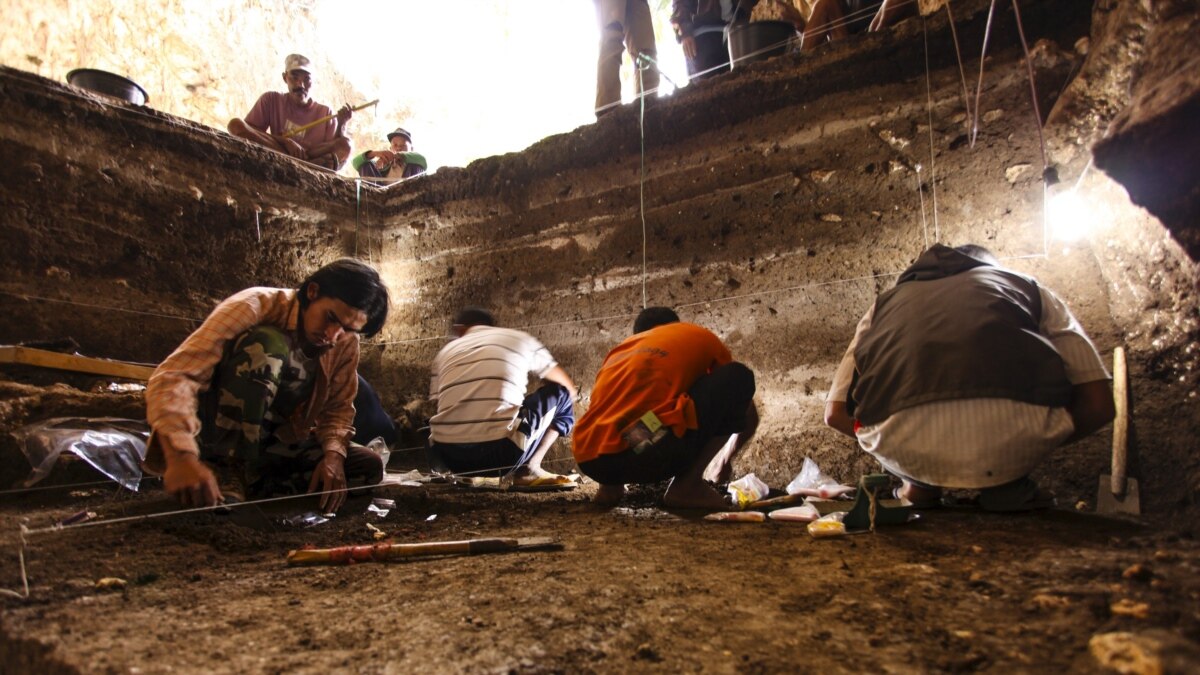 ‘Hobbit’ Ancestor Bones Found