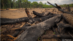 មេឃុំ ធ្វើ និរាករណ៍ លិខិត ស្នាម បញ្ជាក់ ប្លង់ ដី ក្នុង តំបន់ អភិរក្ស ជា ...