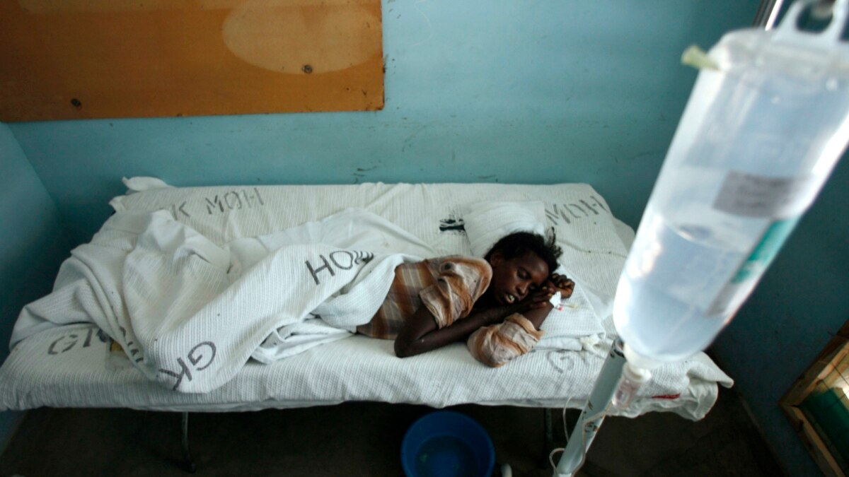 Rift Valley Fever Outbreak Kills 21 in Western Niger