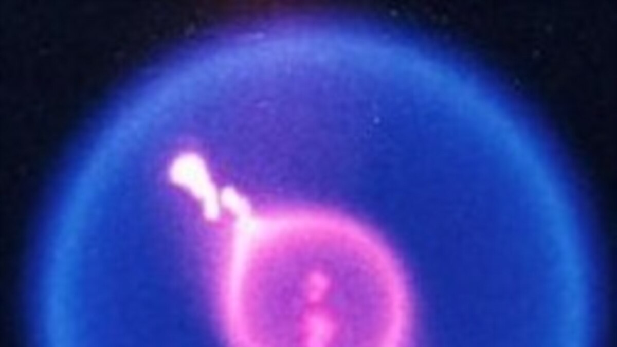 Science World - Flame and Combustion in Space - NASA's FLEX-2 Project