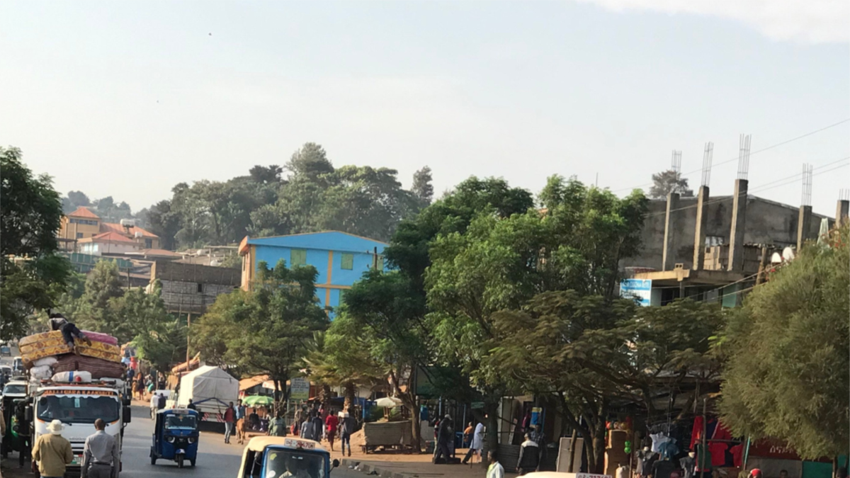 Gamtaan Paartilee Siyaasaa Paartii Biyya Bulchaa Jiru Ibsa Gaafatee Jira